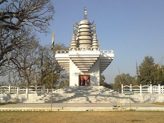 Manipur State Tree – RitiRiwaz