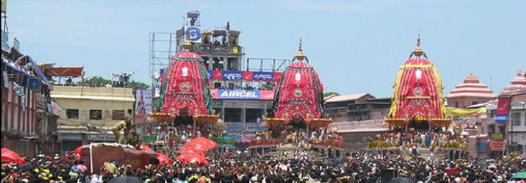 Odisha State Flower – RitiRiwaz