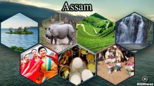 Assam – Culture and Tradition | RitiRiwaz