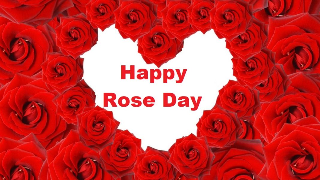 Rose Day (7th February) | RitiRiwaz