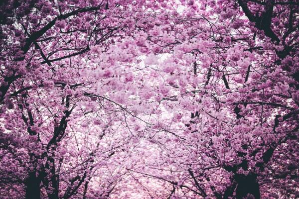 10 Reasons Why Spring Is The Season To Love | RitiRiwaz