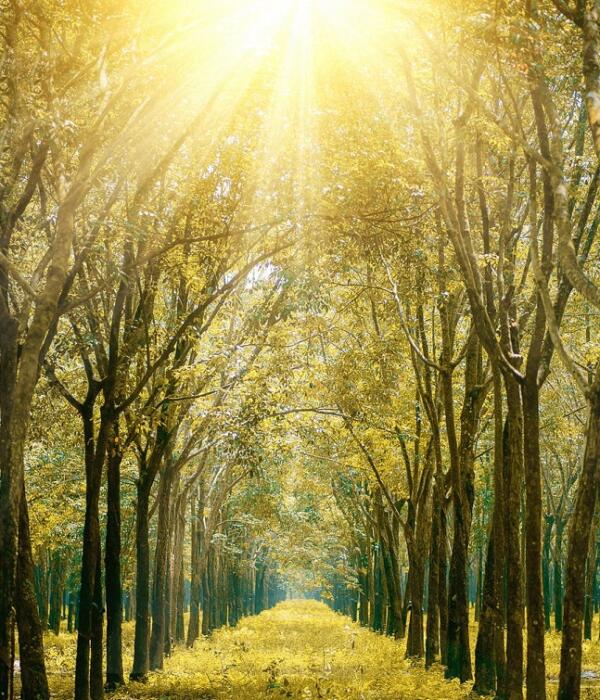 10 Reasons Why Spring Is The Season To Love | RitiRiwaz