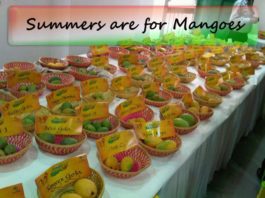 International Mango Festival | RitiRiwaz
