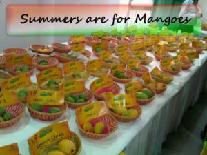 International Mango Festival | RitiRiwaz