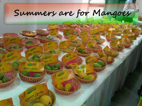 International Mango Festival | RitiRiwaz