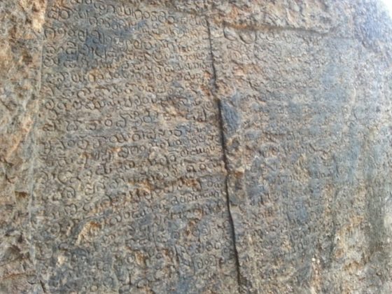 Telugu Language | Telugu History and Facts | RitiRiwaz