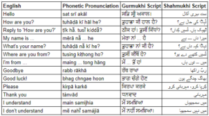 Punjabi Language | Punjabi History and Facts | RitiRiwaz