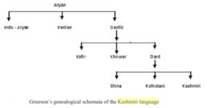 Kashmiri Language | Koshur | RitiRiwaz