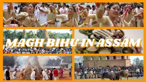 Magh Bihu | Bhogali Bihu Festival | RitiRiwaz
