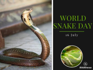 World Snake Day – 16th July | RitiRiwaz