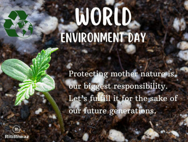 World Environment Day: Wishes, Messages, Greetings, Slogans