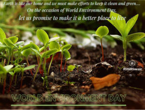 World Environment Day: Wishes, Messages, Greetings, Slogans