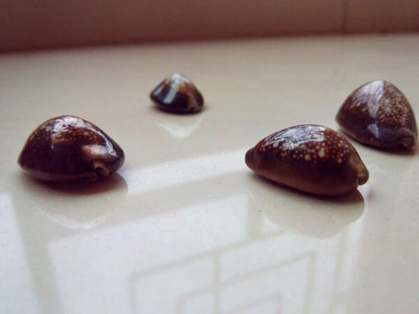 10 Traditional Indoor Games in India | RitiRiwaz