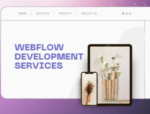 Webflow development services | RitiRiwaz